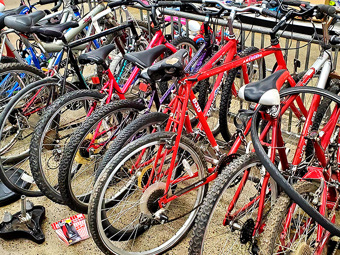 Bicycle bonanza! These two-wheeled chariots stand at attention, ready to carry new owners on adventures without the sticker shock of specialty shops.