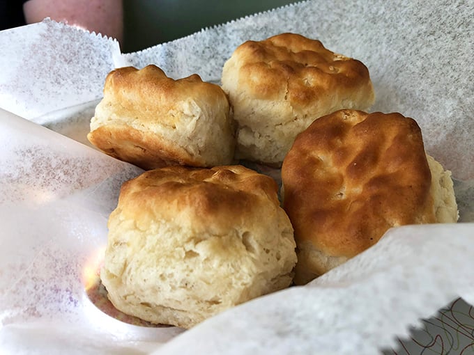 These biscuits have more layers than a Tennessee Williams play—golden, flaky, and ready for their close-up.