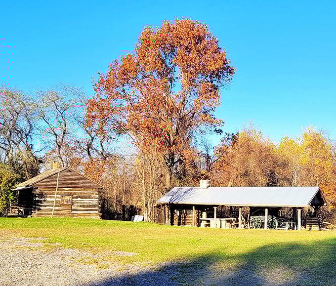 These log cabins aren't just Instagram-worthy backdrops – they're time machines to Ashtabula's pioneer days, minus the dysentery and dial-up internet speeds.