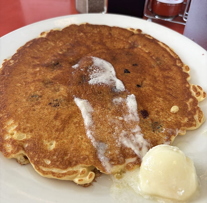 These blueberry pancakes aren't trying to win a beauty contest—they're too busy being exactly what pancakes should be: fluffy, golden, and ready for their butter bath.