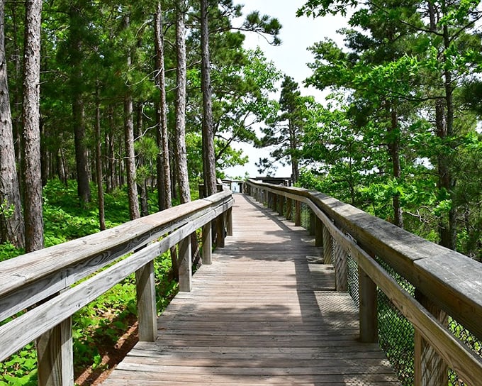 This boardwalk leads to views worth writing home about—if you can tear yourself away from staring long enough to send a text.