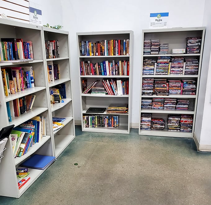 Literary treasures and cinematic escapes line these shelves—build your personal library or movie collection without the bestseller price tag.