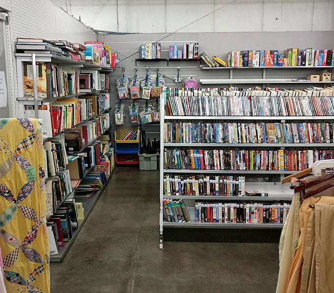 A literary goldmine where dog-eared paperbacks and forgotten DVDs create an archaeological dig through America's entertainment history.