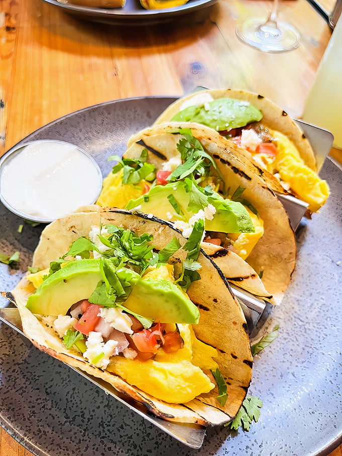 Breakfast tacos that make you question why we don't start every day this way—vibrant, fresh, and topped with avocado that's perfectly ripe (a minor miracle in itself).