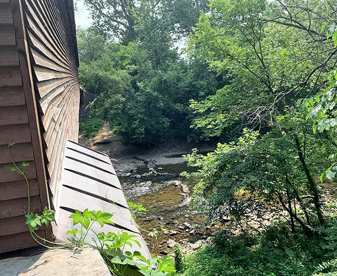 Peering through the bridge's side panel reveals the Shenandoah's gentle flow. Nature's soundtrack comes standard with every visit.