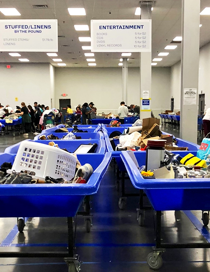The thrill of the hunt in action – seasoned shoppers strategically working the bins while newcomers learn the ropes.