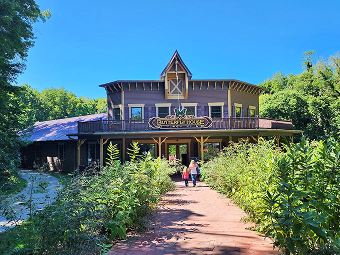 Nature's kaleidoscope awaits! The Butterfly House invites visitors to step into a world where winged jewels flutter freely among tropical plants.