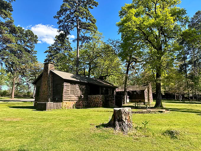 Historic CCC cabins blend seamlessly into the landscape, offering rustic comfort with a side of time travel to simpler days.