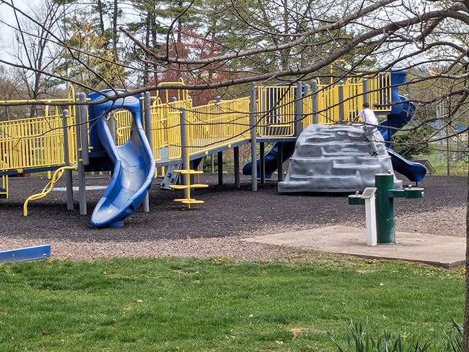 Cambridge City Parks provide the perfect playground for grandkids or your inner child. Those blue slides are calling your name—don't pretend you didn't hear them!