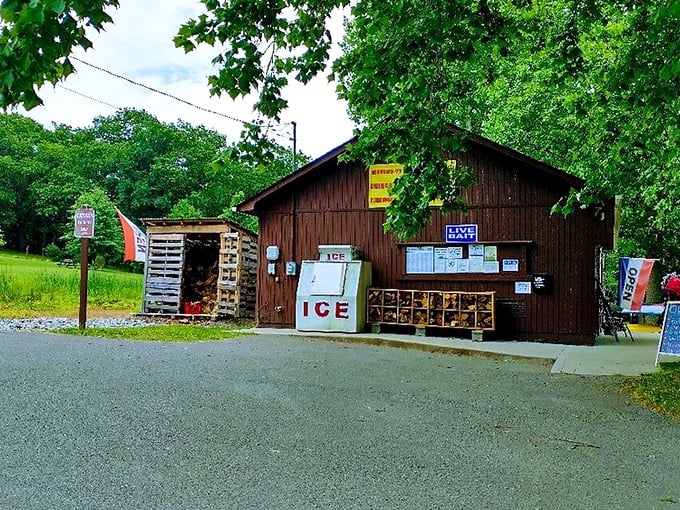 The rustic camp store—where ice is always the hottest commodity and forgotten supplies magically appear just when you need them.