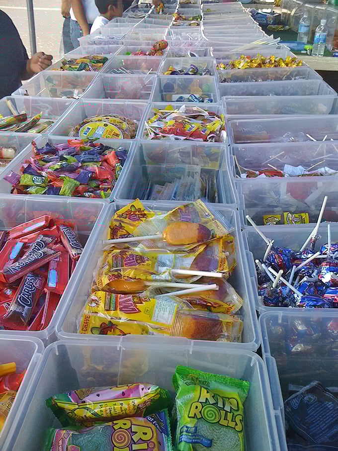 Sweet temptation organized in plastic precision—a candy cartography where every childhood favorite has found its proper continent.