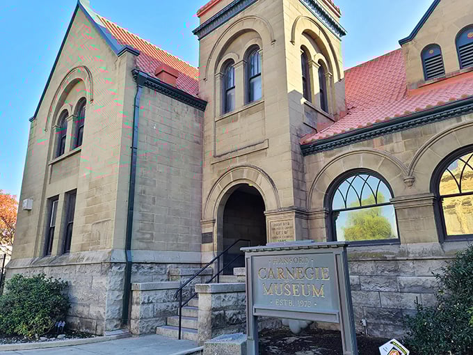 The Carnegie Museum's magnificent stonework reminds us that libraries were once palaces of knowledge—and this one got the royal treatment it deserved.