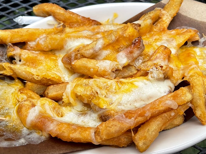 Cheese fries that make you question why you ever bothered with plain ones—like upgrading from basic cable to premium channels.