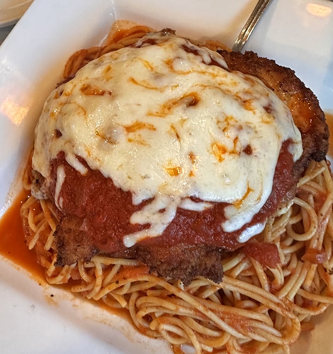 The chicken parmigiana arrives like a delicious meteor – a golden-crusted chicken breast crater filled with molten cheese and surrounded by a sea of marinara and pasta.