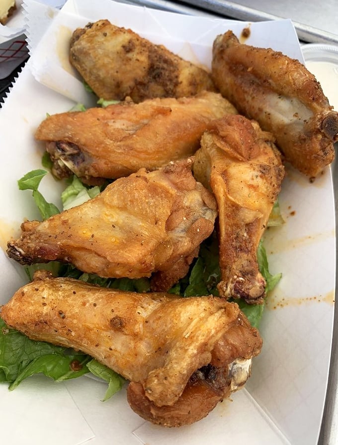 Wings that have clearly earned their wings. Perfectly crispy on the outside, juicy on the inside—the way chicken wings dream of becoming.