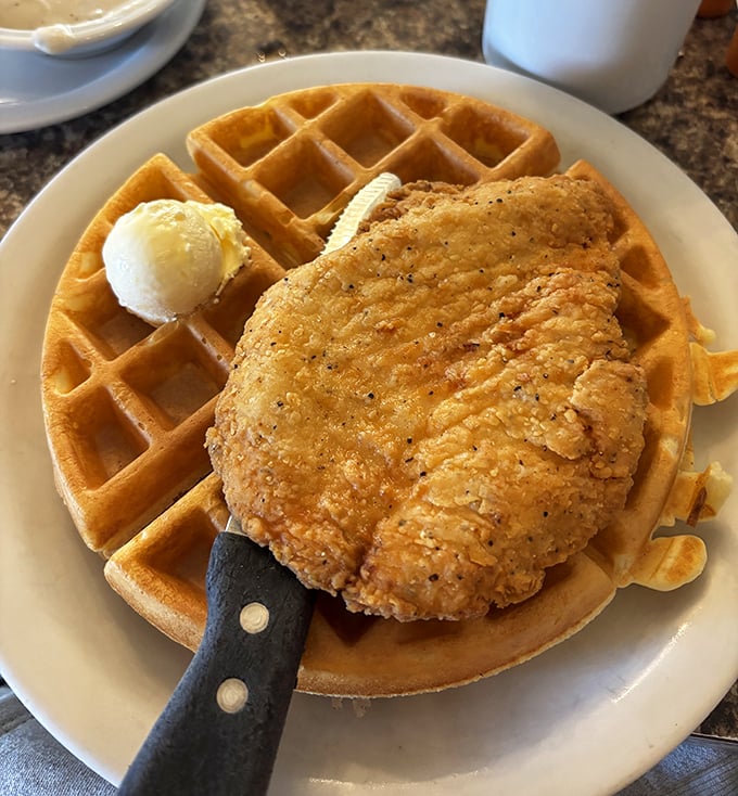 Golden waffle meets perfectly fried chicken—a combination that proves breakfast and lunch should never be forced to choose sides.