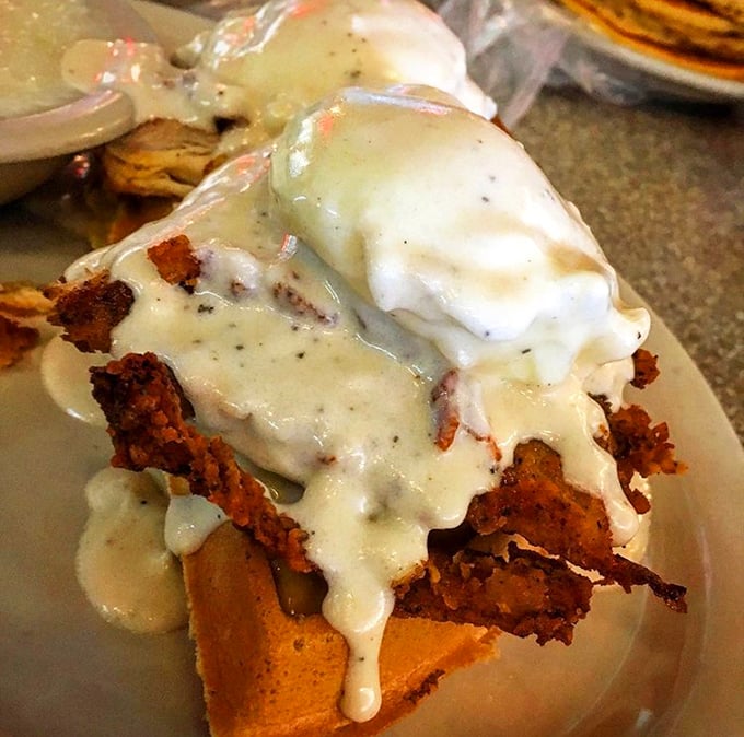 Gravity-defying chicken and waffles smothered in gravy – where Southern comfort meets breakfast rebellion in delicious harmony.