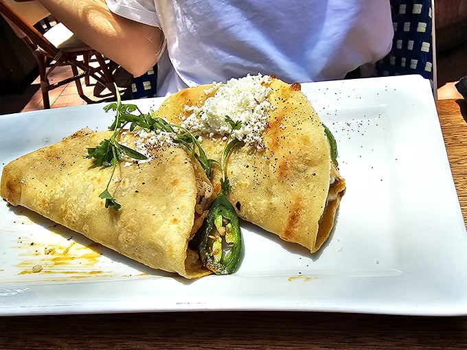 Two perfectly grilled quesadillas with a sliced jalapeño standing guard—a simple presentation that belies the flavor explosion waiting inside.