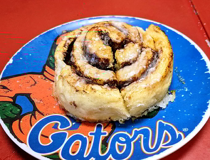 The cinnamon roll that launched a thousand diet cheat days, proudly displayed on a Gators plate—because in Florida, even pastries pick teams.