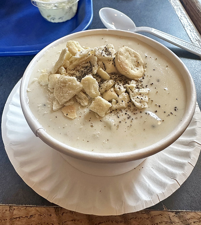 Clam chowder so creamy it should require a lifeguard on duty. Those oyster crackers aren't just garnish – they're little flavor rafts.