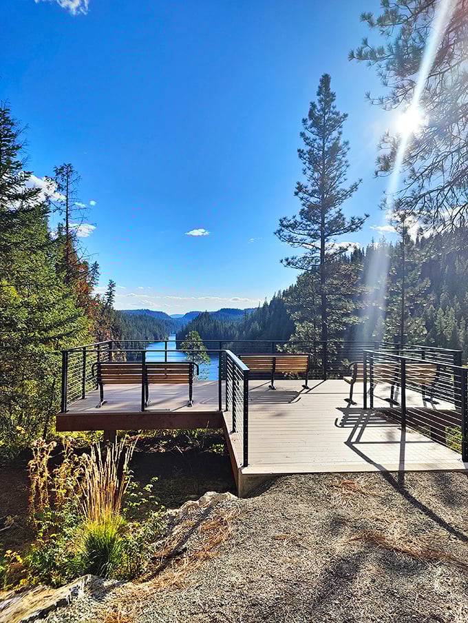 Nature's million-dollar view without the millionaire's price tag – the surrounding forests offer daily doses of serenity absolutely free.