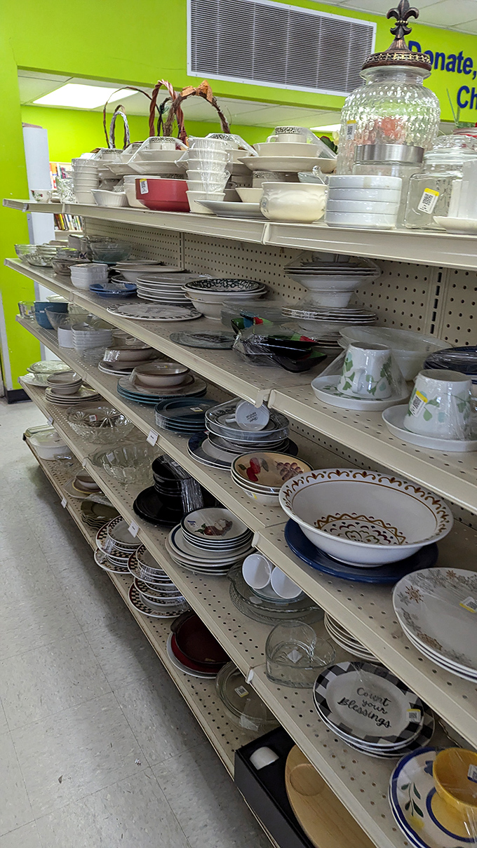 Dish paradise! From everyday plates to forgotten wedding china, these shelves tell stories of countless family dinners and holiday gatherings.
