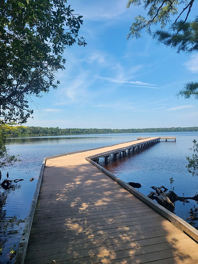 This wooden pier doesn't just lead into the lake—it leads into your next moment of zen. Walking these planks is the opposite of punishment.