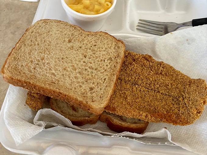 The fish sandwich—where bread meets perfectly seasoned fillet in a simple yet profound culinary relationship. Mac and cheese plays supporting role.