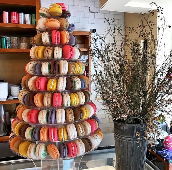 A macaron tower this magnificent deserves its own security guard and possibly a spotlight with dramatic music playing in the background.