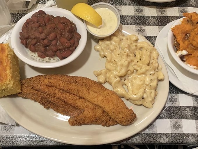 Crispy catfish that would make Huck Finn abandon his raft. The mac and cheese alongside it isn't just a side – it's a co-star.