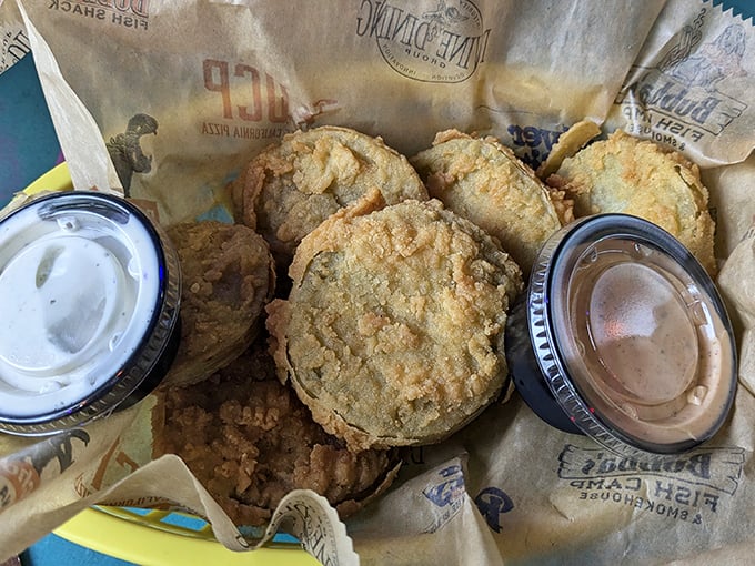 Fried green tomatoes – where tangy fruit meets crispy coating in that magical Southern alchemy that transforms simple ingredients into something transcendent.