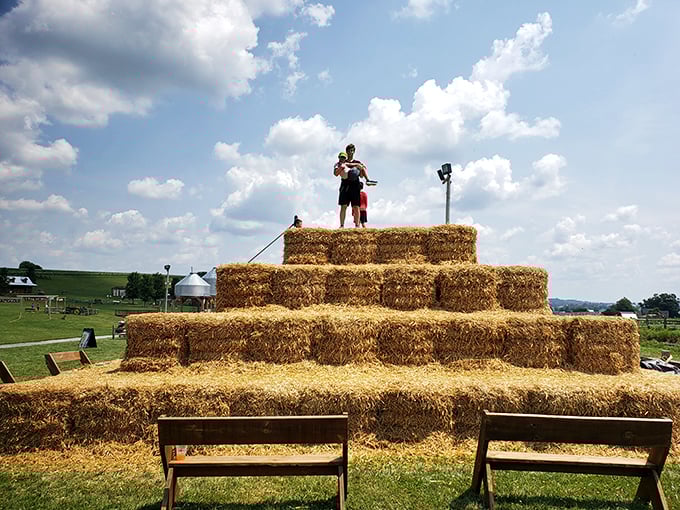 King of the hay mountain—a timeless game where conquering a pile of straw feels like summiting Everest, minus the oxygen tanks.