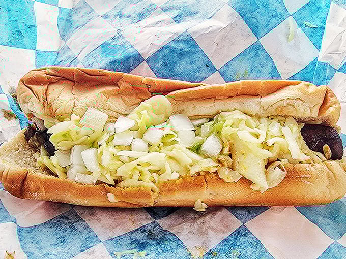 This isn't just any hot dog – it's a Carolina classic, dressed and ready for its close-up. Simple perfection on a bun.