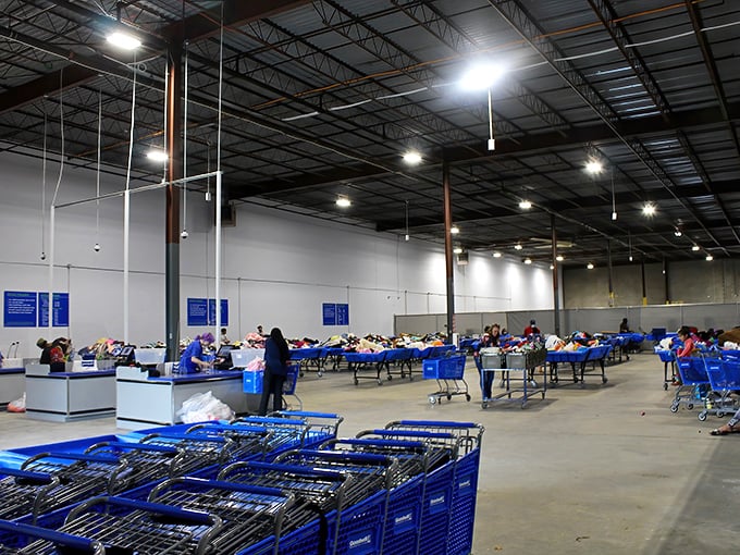 The vast expanse of possibility. Each blue bin contains potential discoveries that would make Indiana Jones trade his whip for shopping gloves.