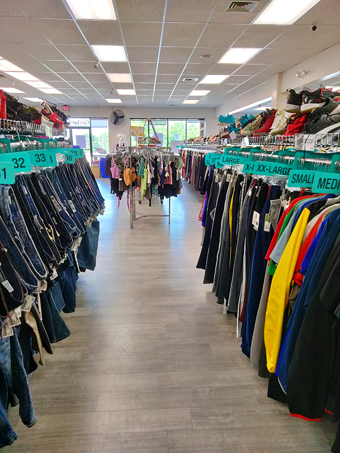 The denim promised land stretches before you. With sizes clearly marked and jeans meticulously organized, finding your perfect pair becomes actually possible.
