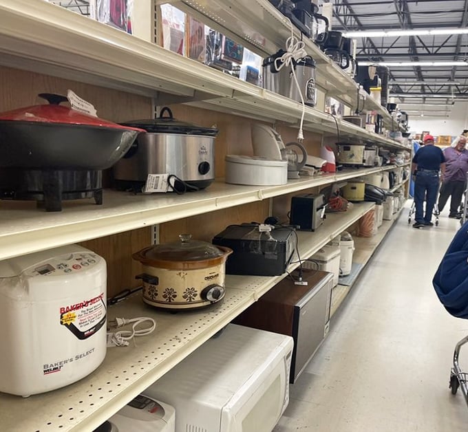 Slow cookers and rice makers stand at attention—kitchen veterans ready for reassignment to new countertops and cooking adventures.