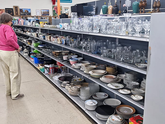 Plates, glasses, and mugs galore—each with its own history of family dinners and morning coffees, ready to join your kitchen's story.