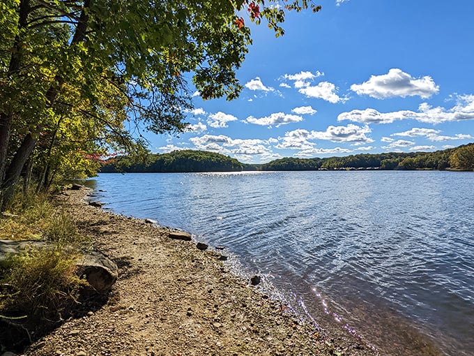 Fall Creek Falls Lake isn't just pretty – it's 345 acres of mirror-perfect reflections where the sky and mountains compete for who's wearing blue better.