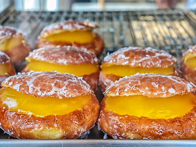 Sunshine-yellow donuts gleaming with promise. These lemon-filled beauties deliver the perfect sweet-tart balance that makes your taste buds do a little happy dance.