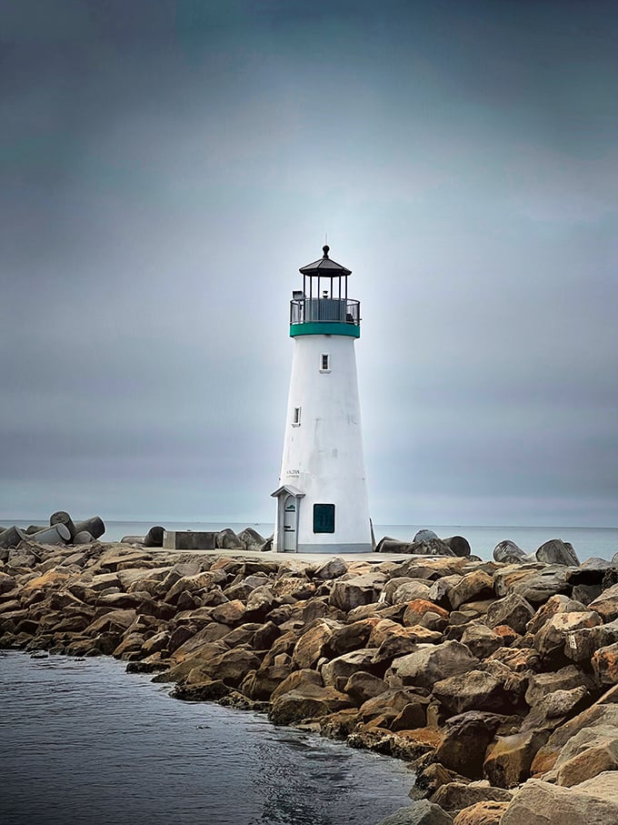 Even on gloomy days, this beauty stands tall, proving that charisma doesn't need sunshine to shine through every frame.