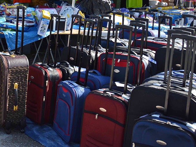 The luggage lineup that makes you want to plan a spontaneous getaway. Each suitcase holds the promise of adventure—just add plane tickets.