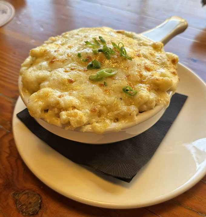 The mac and cheese arrives bubbling hot, its golden crust hiding a creamy treasure beneath—comfort food that's had a serious upgrade.