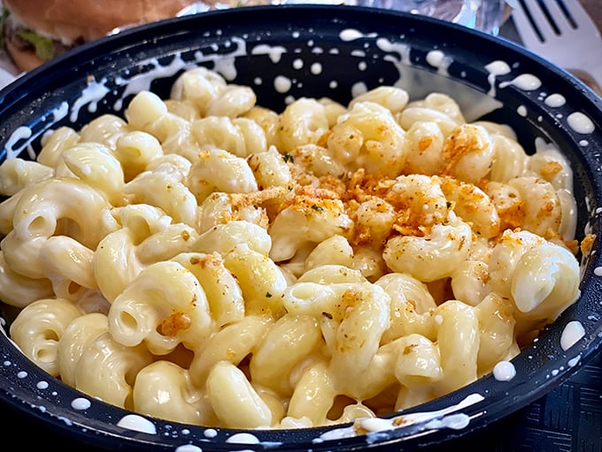 Mac and cheese so creamy it should require a lifeguard on duty. This isn't comfort food—it's a warm hug for your taste buds.