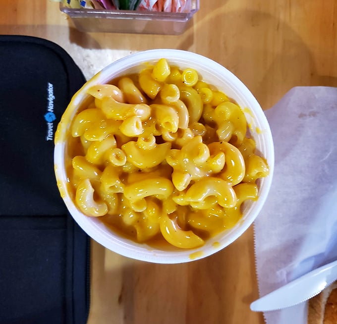Mac and cheese isn't just a side—it's tactical equipment for your hot chicken adventure, offering creamy respite between bites of Nashville's favorite form of delicious punishment.