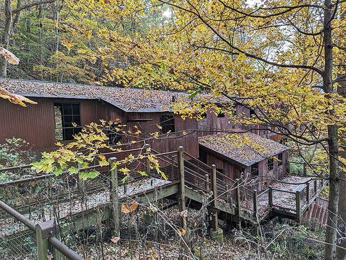 This rustic headhouse at Nuttallburg whispers tales of coal mining history, perched among autumn leaves like a time capsule waiting to be discovered.