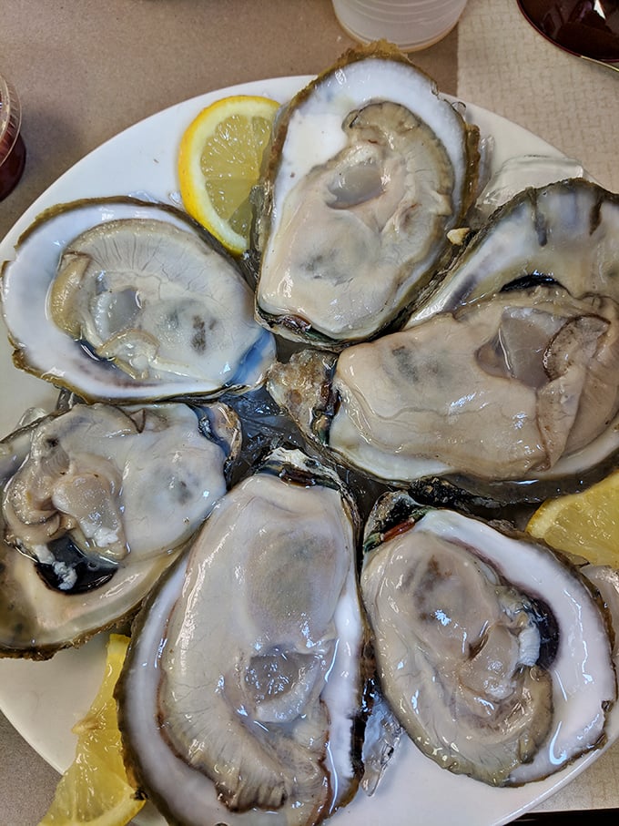 These plump oysters, glistening with briny goodness, are like jewels from the deep—nature's perfect appetizer with just a squeeze of lemon.
