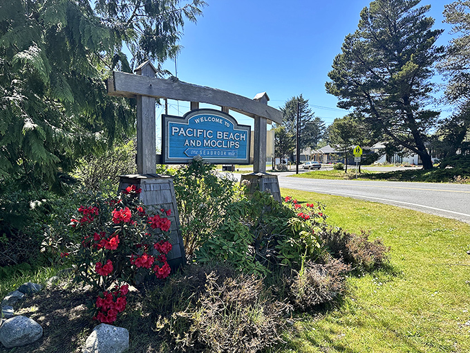 The welcome sign to Pacific Beach and Moclips stands surrounded by vibrant rhododendrons—nature's way of saying "the landscaping committee means business here."