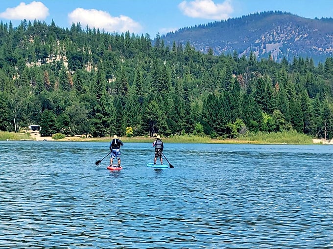 Social distancing, California-style. Paddleboarders glide across Lake Britton's mirror-like surface with the forested mountains creating a perfect backdrop.