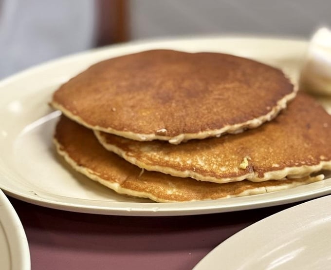 These pancakes aren't just round—they're perfect circles of happiness waiting to soak up maple syrup like they were born for this moment.