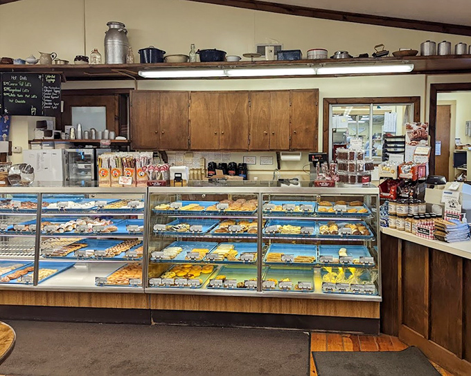The display case—where dreams are stored at room temperature. Each shelf offers a different path to happiness, all equally valid.